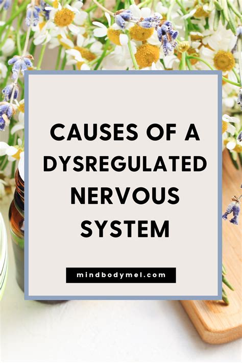 Signs Of A Dysregulated Nervous System — Mind Body Mel