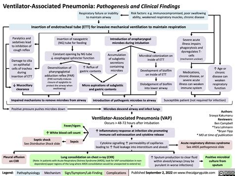 Ventilator Associated Pneumonia Pathogenesis And Clinical Findings Calgary Guide