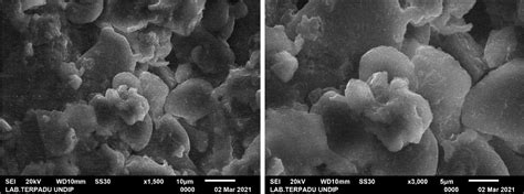 Dietary Addition Of Microencapsulated Turmeric In An Amorphous Matrix Of Maltodextrin On Quality