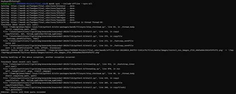 [app] wandb sync hangs forever disk quota exceeded · issue 4143