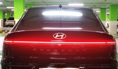 요즘 야간에 길에서 보면 혼란스러운 차들 자동차 에펨코리아