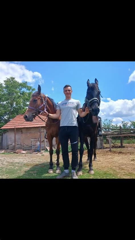Бруски кофер Bruskikofer • Instagram Photos And Videos