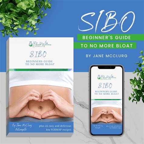 SIBO Beginner S Guide To No More Bloat Infostack Io