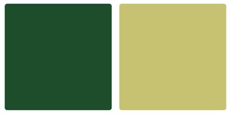 Colorado State Rams Color Codes Hex Rgb And Cmyk Team Color Codes