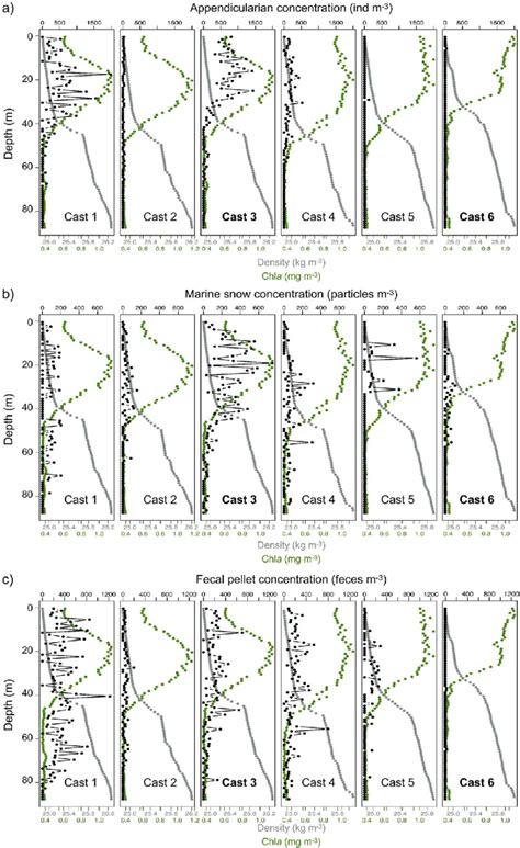 Vertical Distribution Obtained From The Auto Vpr Sampling For A