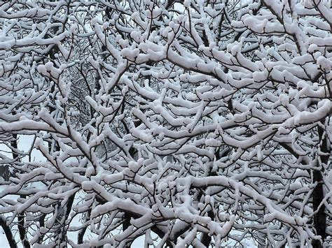 Creating Aws Lambda Zip Files With Pex Quanttype