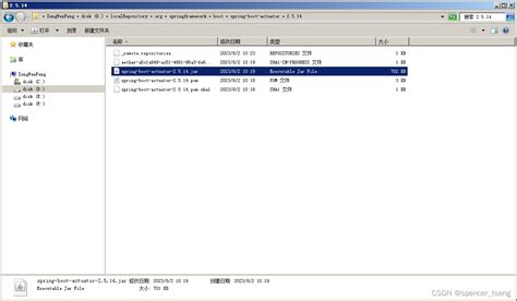 Archive For Required Library ‘dxxjar‘ In Project ‘erp‘ Cannot Be
