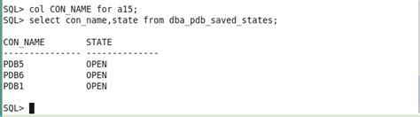 Oracle Pluggable Database Automatic Startup Oracledbwr