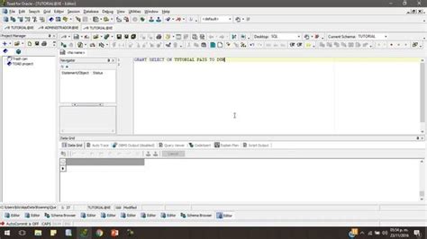grants roles permisos oracle 11g [toad] смотреть видео онлайн от