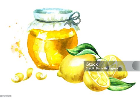 유기농 과일 잼 레몬 묘미 마멀레이드 흰색 배경에 고립의 유리 항아리 수채화 손으로 그린 그림 감귤류 과일에 대한 스톡 벡터 아트 및 기타 이미지 Istock