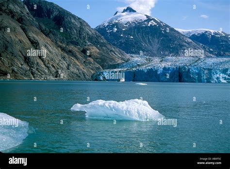 Les Icebergs à Dawes Glacier Dans Lendicott Arm Bay Alaska Ak Ss