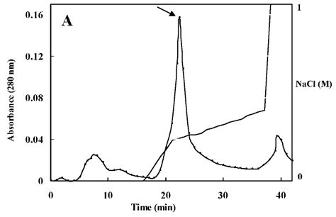 A Elution Profile Of Strain Guf8 α Amylase On The Deae Sepharose