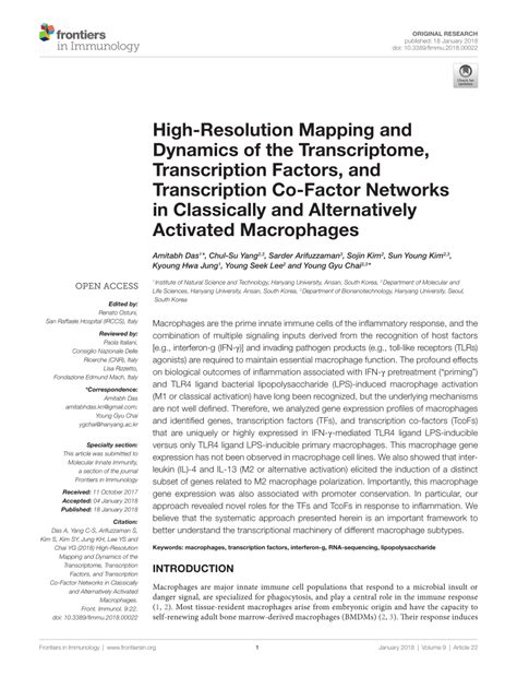Pdf High Resolution Mapping And Dynamics Of The Transcriptome Transcription Factors And