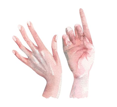 여자 손 일러스트 사진 Freepik