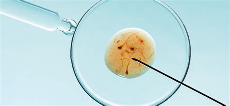Ai Artificial Insemination Tube 6 Choices Wupdoc