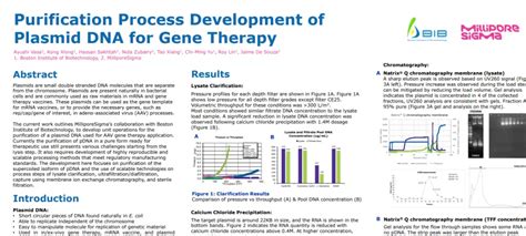 Purification Process Development Of Plasmid Dna For Gene Therapy