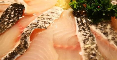 【食品安全周】海产品小心副溶血性弧菌感染 腾讯新闻