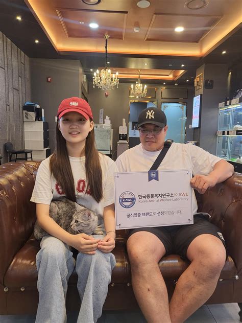 코리안숏헤어 연두 프렌치불독크기 빠삐용크기 파피용크기 사모예드크기 스피츠크기 시바견크기 시베리안허스키크기 시츄크기 요크셔테리어크기 웰시코기크기 이탈리아그레이하운드크기 치와와