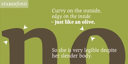 Olivia Serif Font Webfont Desktop MyFonts