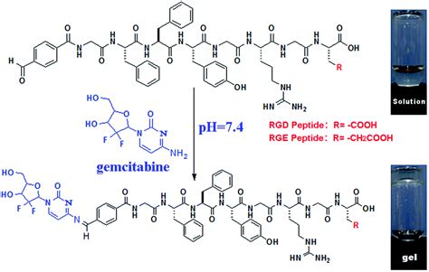 Gemcitabine Structure