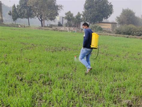 Practical Crop Production