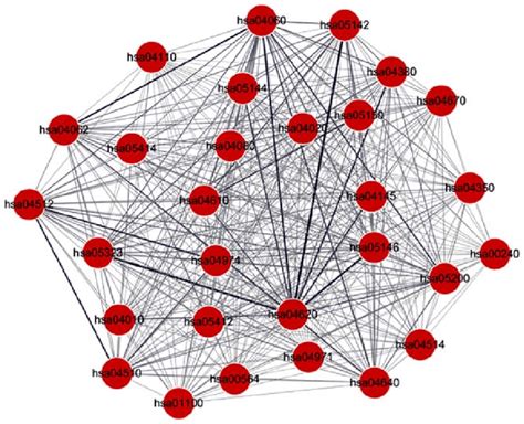 Interaction Network Of The Pathways Involved With The Differentially