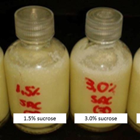 Visual Aspect Of The Lipid Microparticle Dispersions Which Were