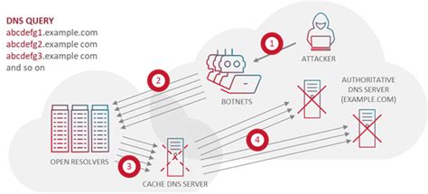 dns under siege real world dns flood attacks radware blog