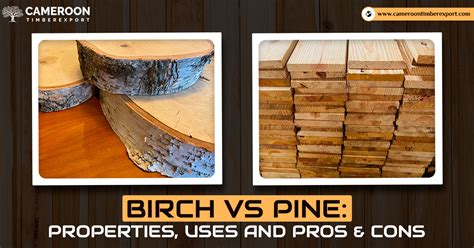 Birch Vs Pine Unveiling Properties Uses And Pros Cons