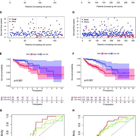 Model Characteristics Of M7g Related Lncrnas In The Validation Group