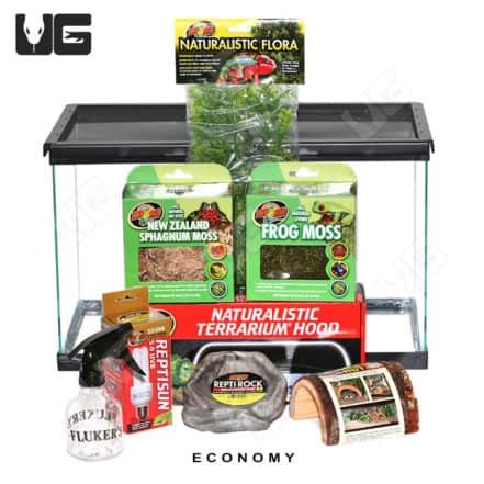 COMPLETE Dart Frog Setup Underground Reptiles