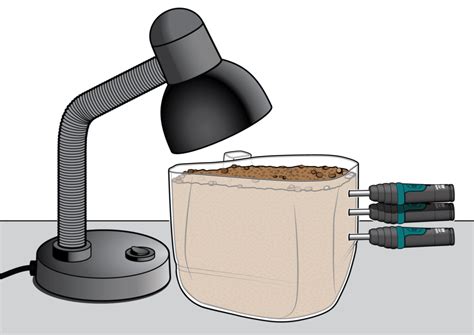 Soil Temperature Experiment 9 From Earth Science With Vernier