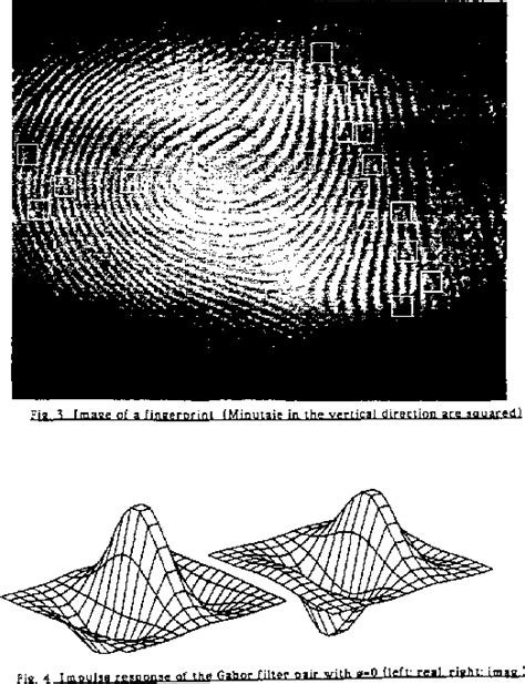 Figure From Fingerprint Image Processing Using Neural Networks Semantic Scholar