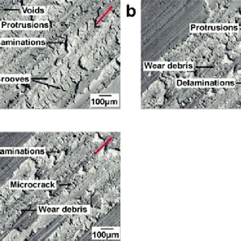 Surface Morphology Of The Composite Specimen Worn At A Normal Load Of 2