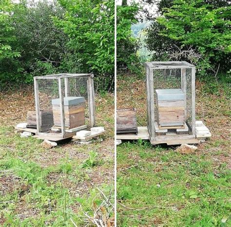 David Ascher Sur Linkedin Simple Efficace économique écologique ️