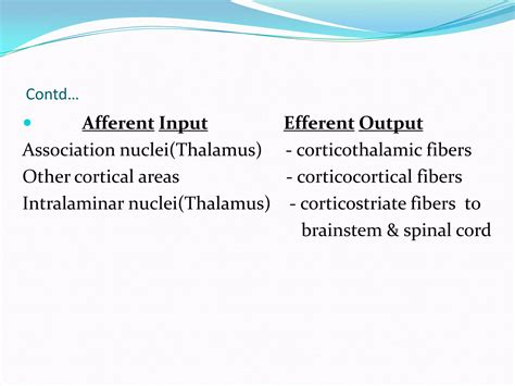 Histology Of Cerebral Cortex Pptx