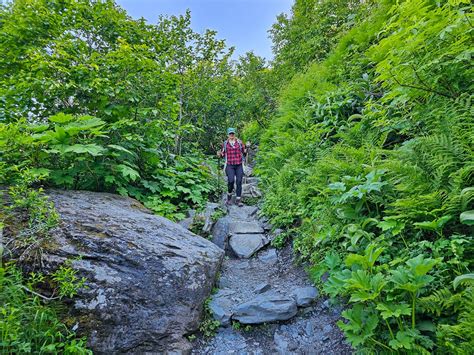Harding Icefield Hike The Best Trail In Alaskas Kenai Peninsula Uprooted Traveler