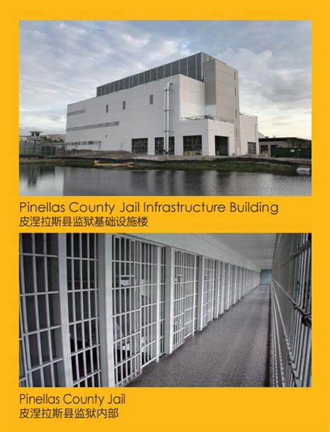 Multi Energy Driven Chiller Dalam Cchp Solusi Cerdas Untuk Pendinginan Pemanasan Dan Listrik