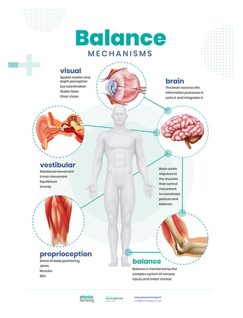 Modified Clinical Test Of Sensory Interaction In Balance Mctsib How