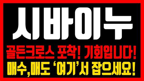 시바이누 골든크로스 포착 기회입니다 매수매도 여기서 잡으세요 Youtube