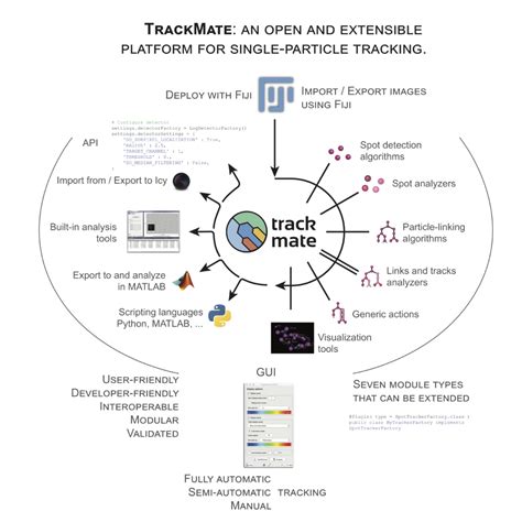 Trackmate An Open And Extensible Platform For Single Particle Tracking Research Institut