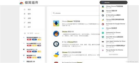 使用chrome浏览器的搜索引擎，谷歌浏览器开启同步功能 chrome同步助手 csdn博客