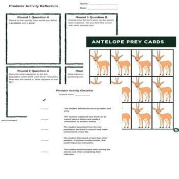 Ecosystem Simulation Activity By Miss G S Fun And Games TpT