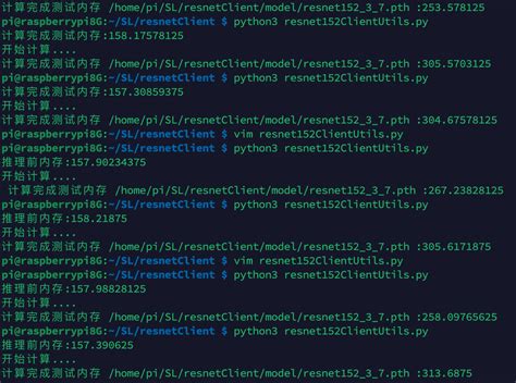 How To Measure The Memory Of A Raspberry Pi Program When Running