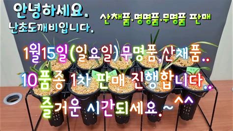 1월15일일요일 특급 종자목 1차 판매 진행 합니다 새해 복 많이 받으세요 💞 Youtube
