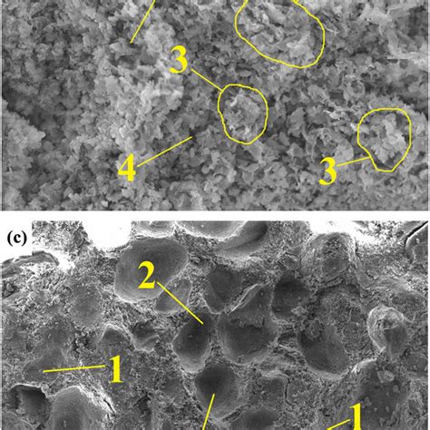 Microstructure Of Uncontaminated Soil Mixtures Before A B And After