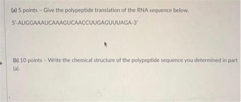 Solved A 5 Points Give The Polypeptide Translation Of