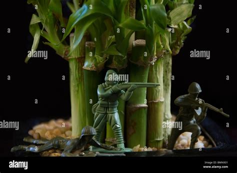 A Trio Of Toy Soldiers Take Their Positions In A Make Believe Bamboo