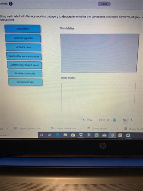 Solved Ework Saved Drag Each Label Into The Appropriate