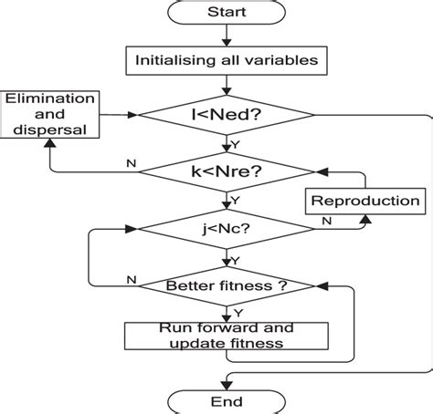 Flowchart Of The Original Bfo Download Scientific Diagram